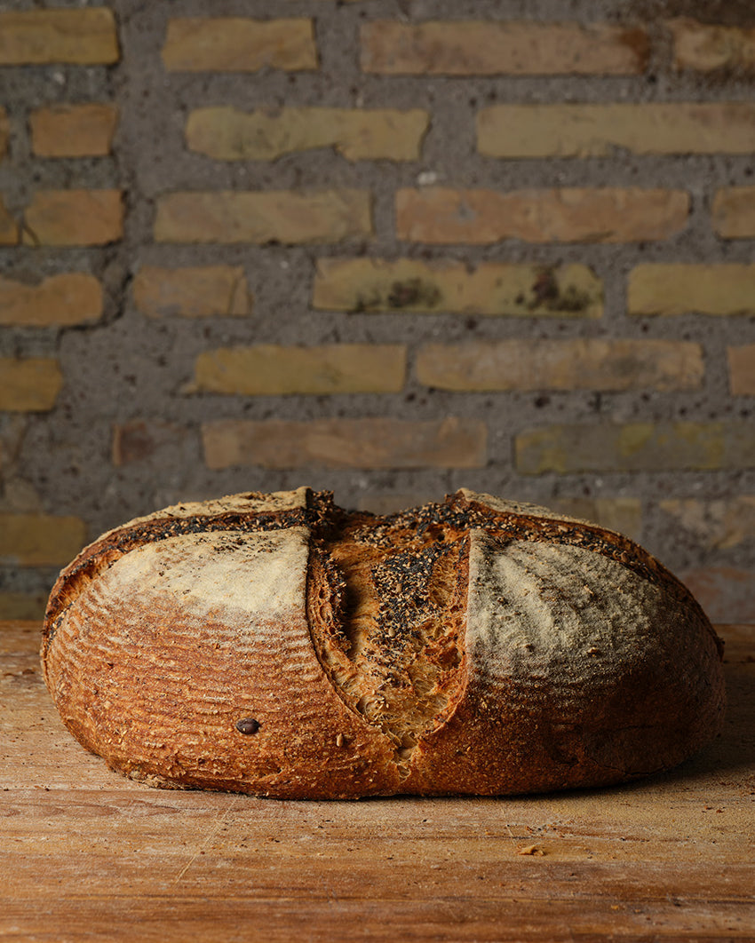 Pane Multicereali - Bonci