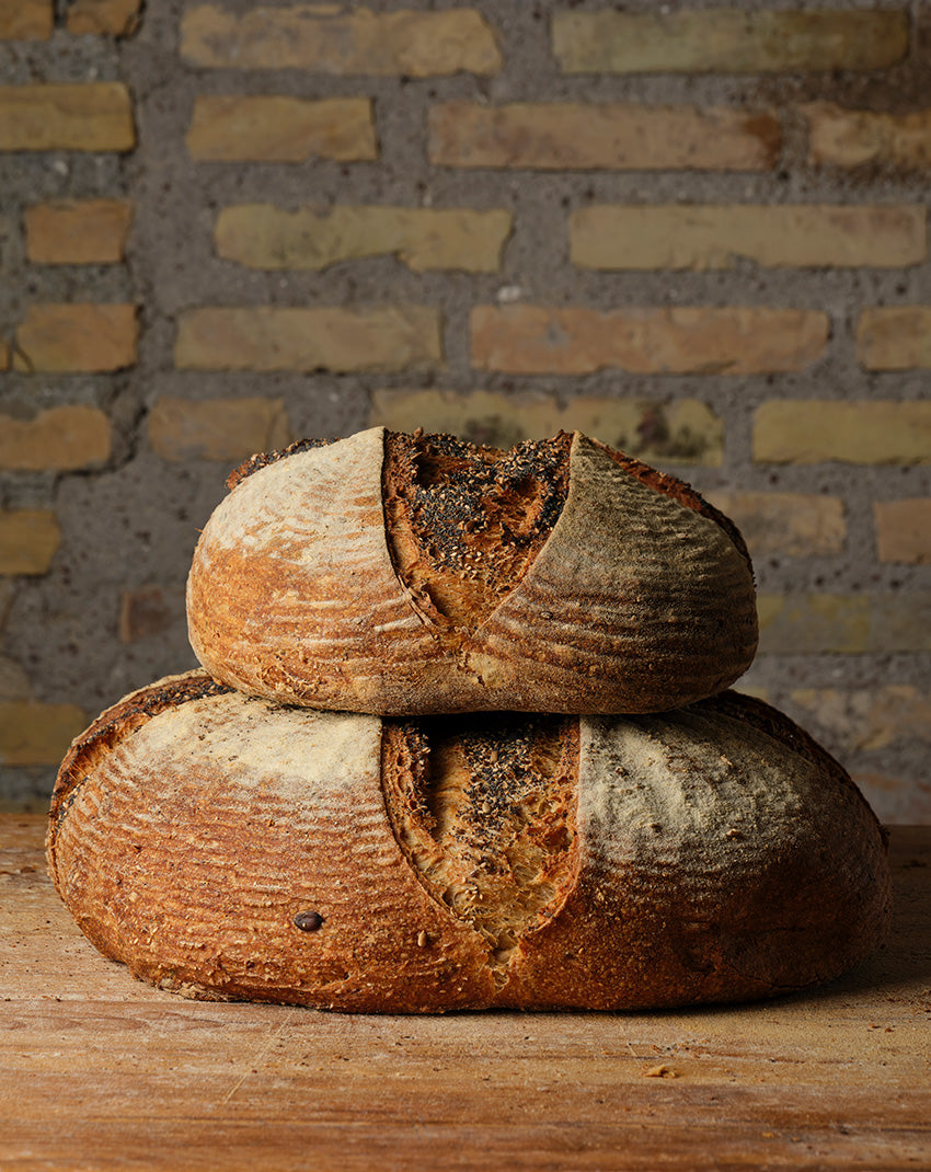 Pane Multicereali - Bonci